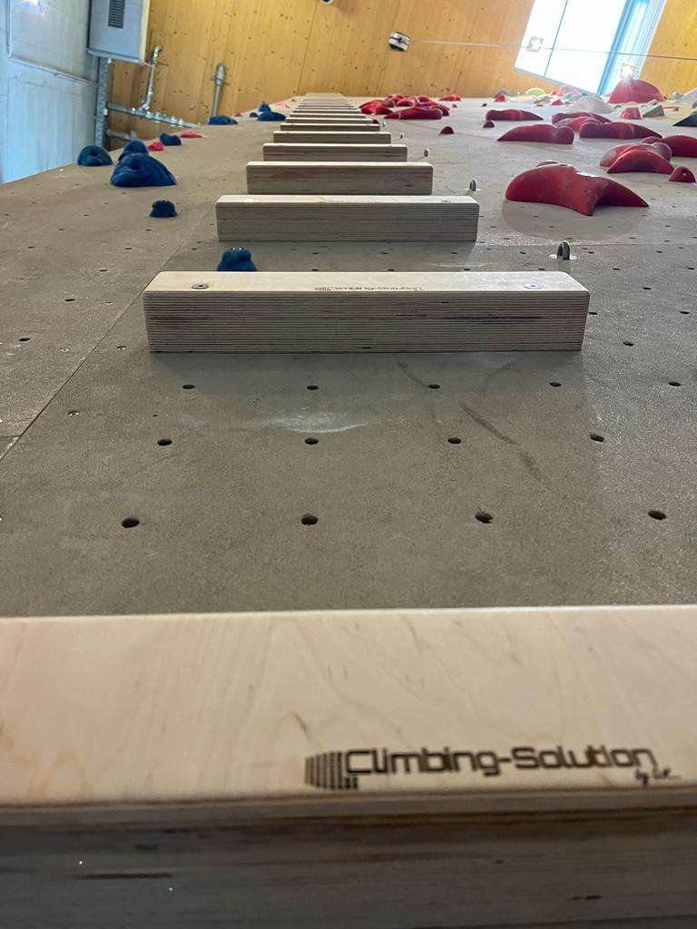 Routenbau Autobelay - DAV Kletter- und Boulderzentrum Freimann